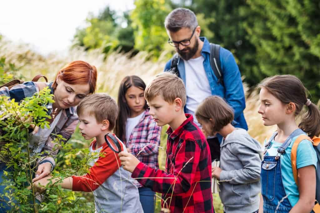 Elementary Education & Intervention (P-5) | MVNU