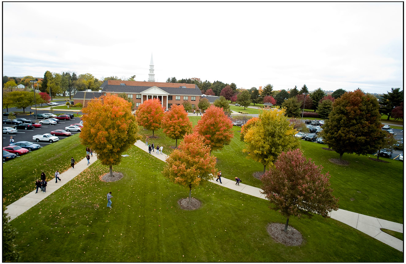 Tree Campus | MVNU