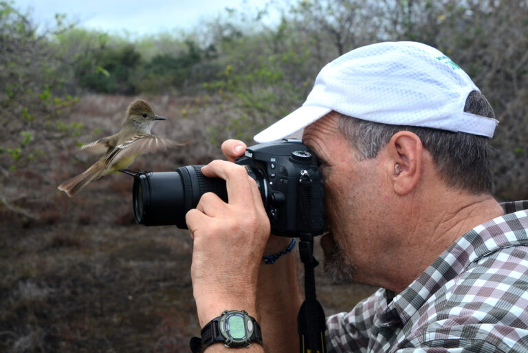 Travel the ‘Extreme Latitudes’ with Randy Cronk at Schnormeier Gallery ...